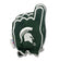 Michigan State Go Green! FanMitts™ – Day1Fans.com